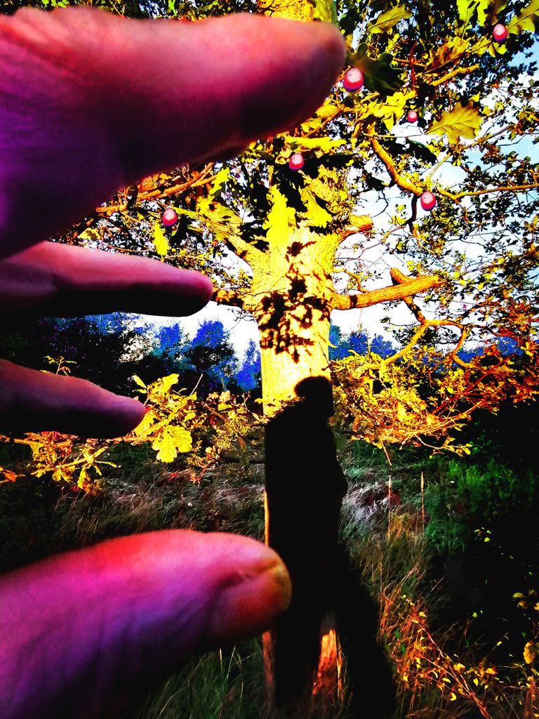 Grasp (Series "Ecounter & sh... | Kurt Buchwald | Galler...