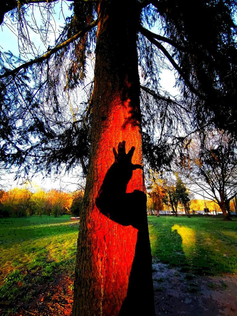 Firehand (Series "Ecounter &... | Kurt Buchwald | Galler...