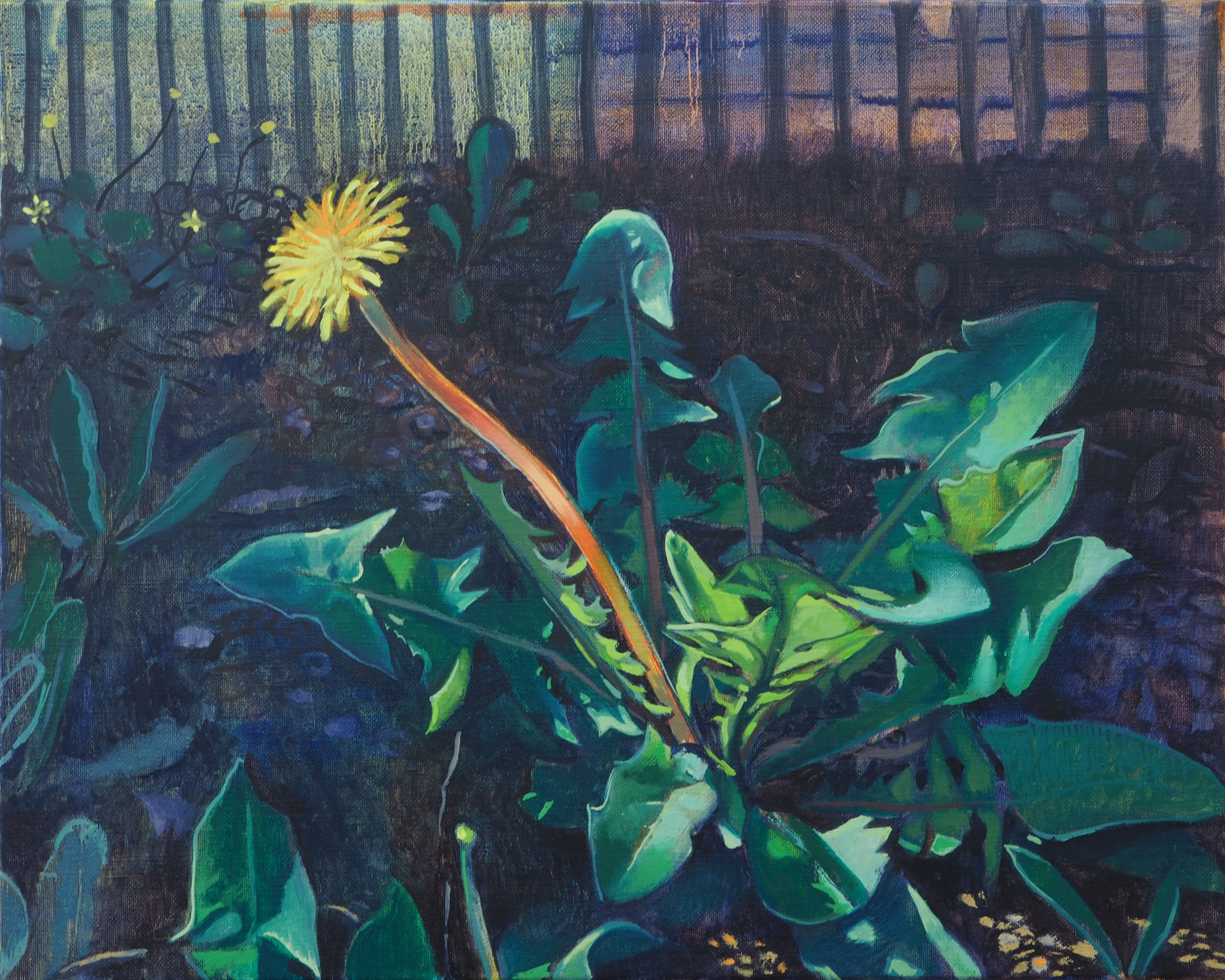 Pissenlits 2 | Mariano Angelotti | Gallery Viewer
