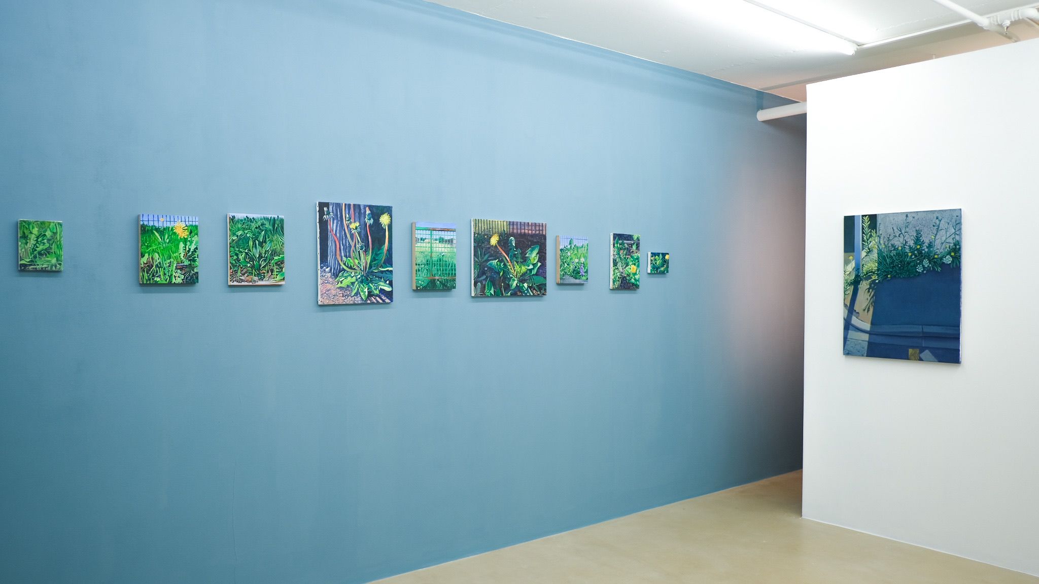 L'éclat des pissenlits | Mariano Angelotti | Gallery Vie...