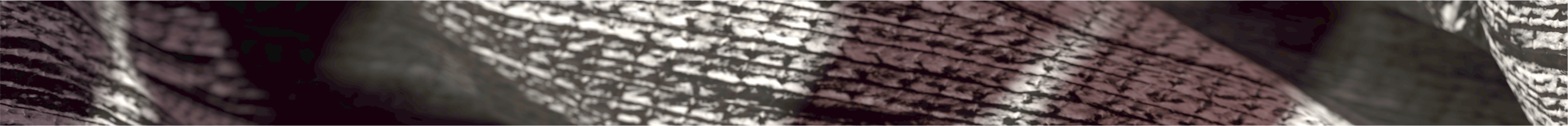 Shaman’s Flag | Jaehun Park | Gallery Viewer