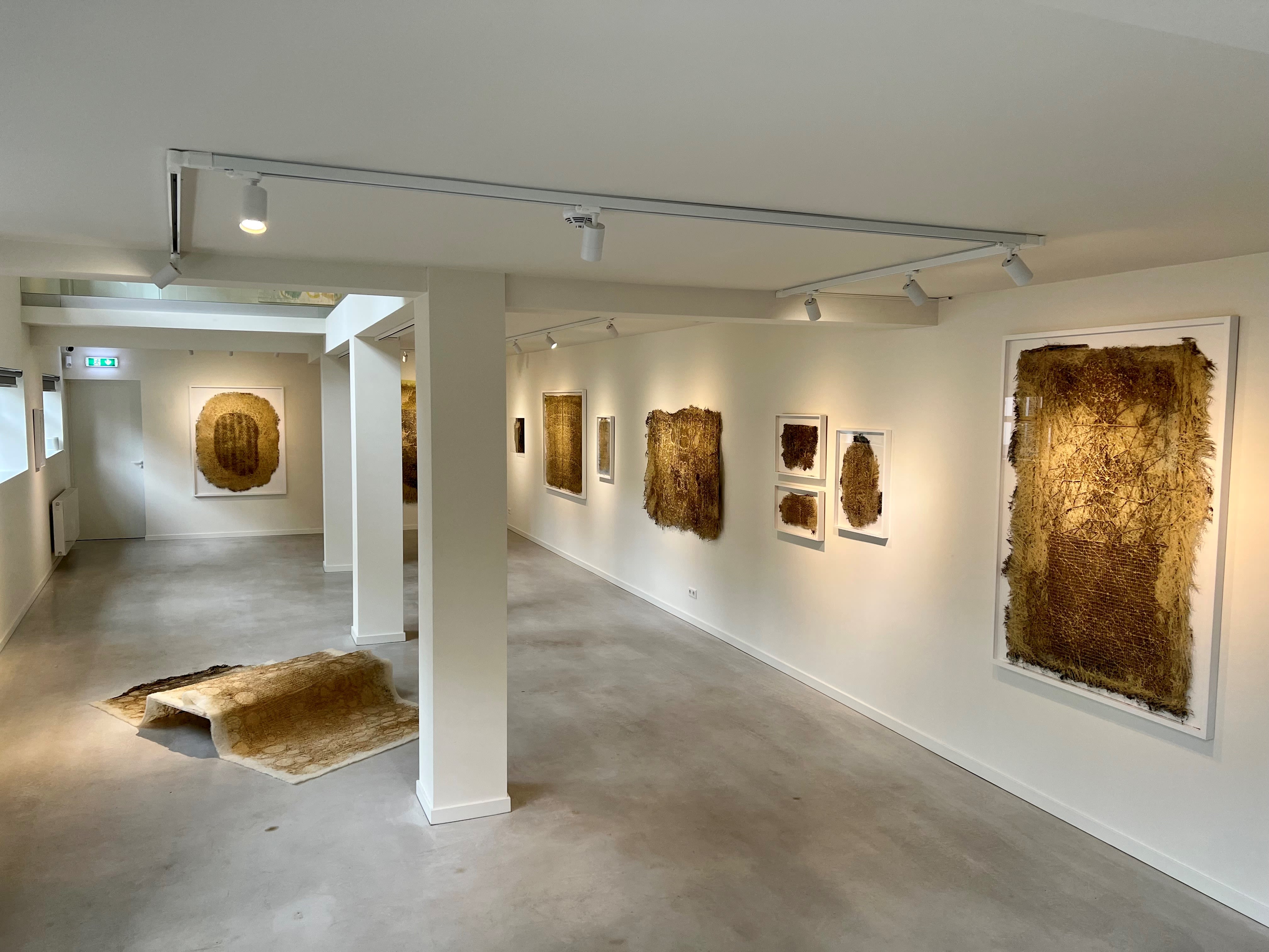 Diana Scherer | Wonderground | | Gallery Viewer