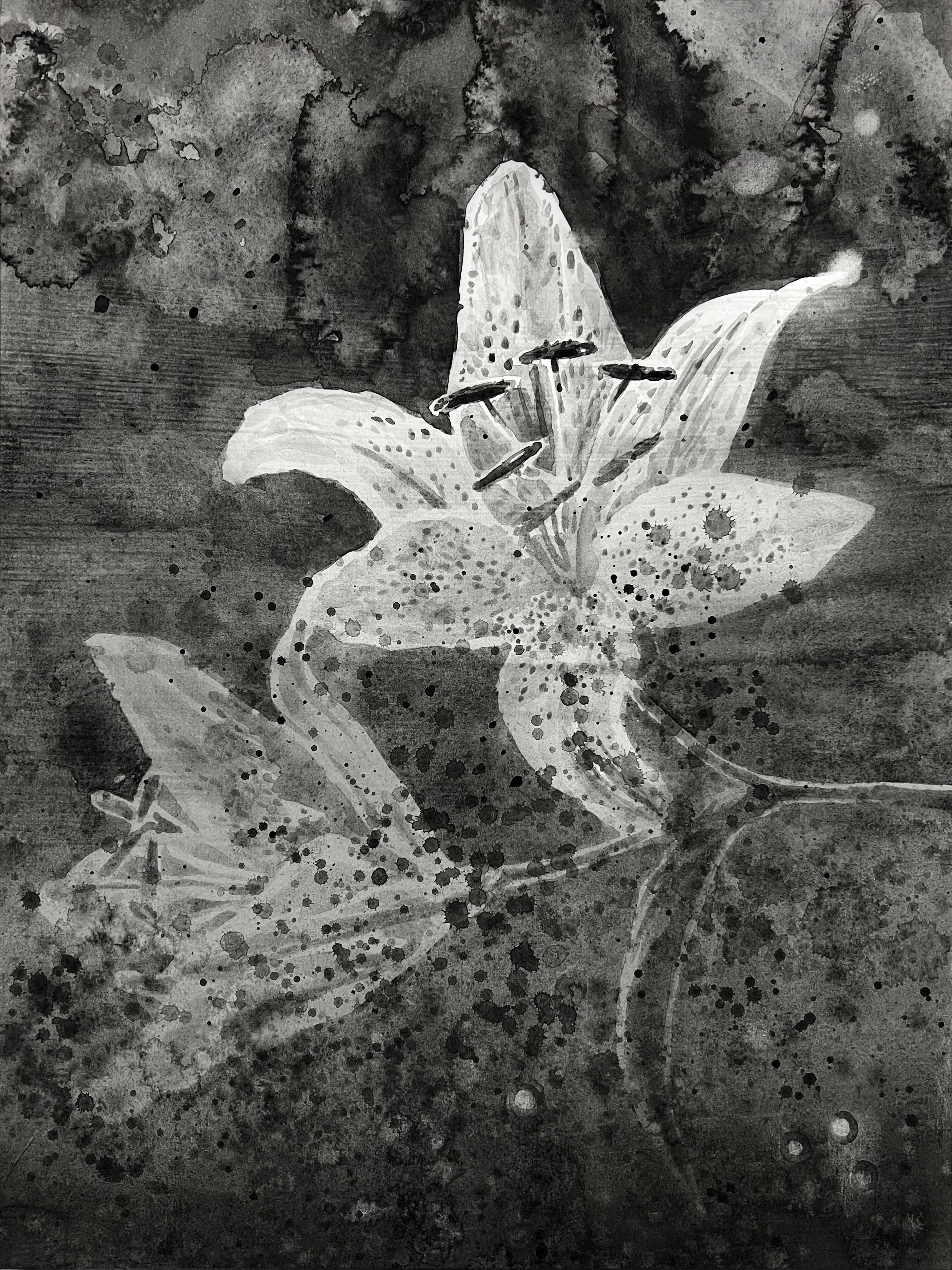 Lily (study) | Hans Op de Beeck | Gallery Viewer