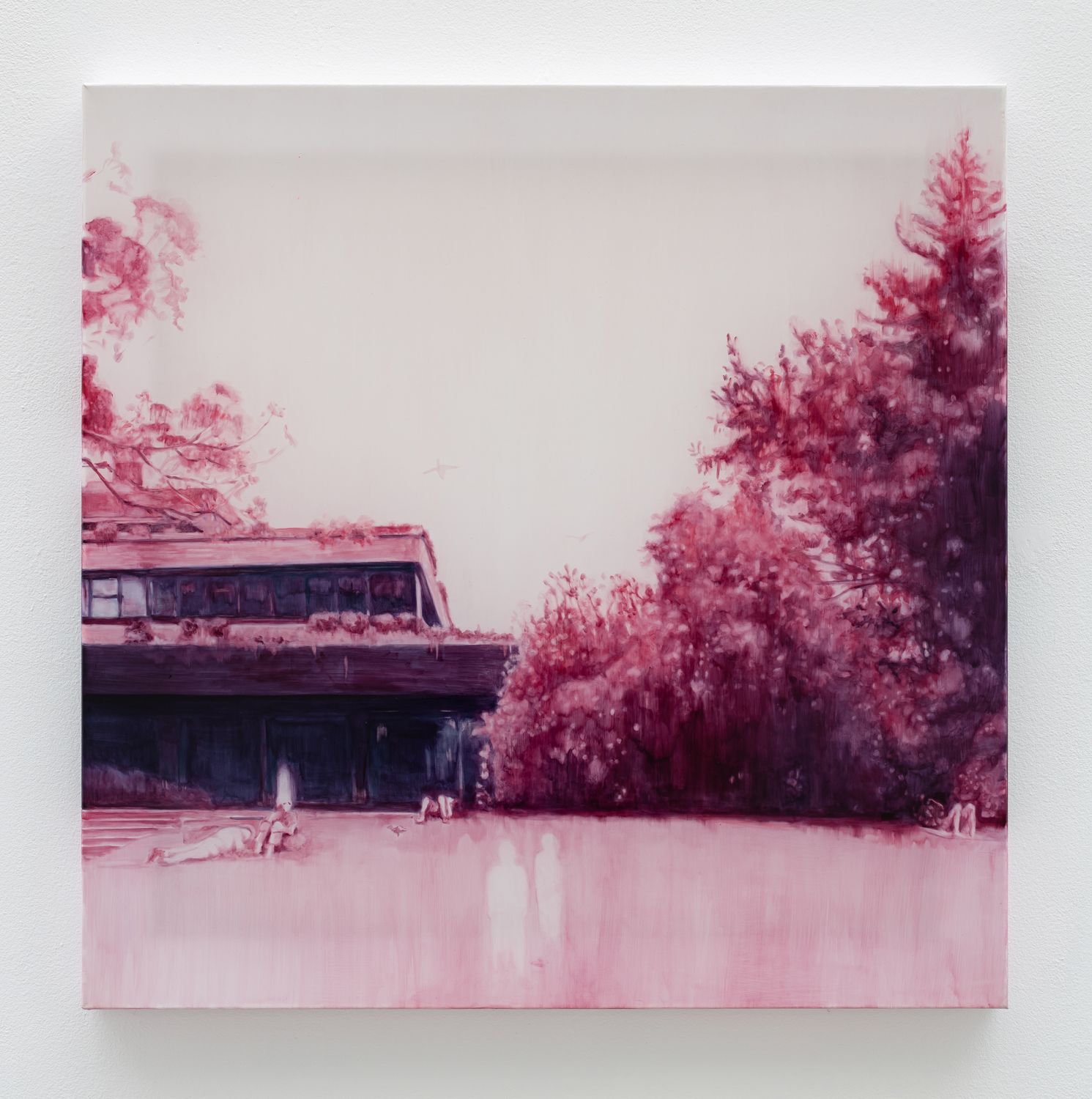 Study in Pink II | Ruby Swinney | Gallery Viewer