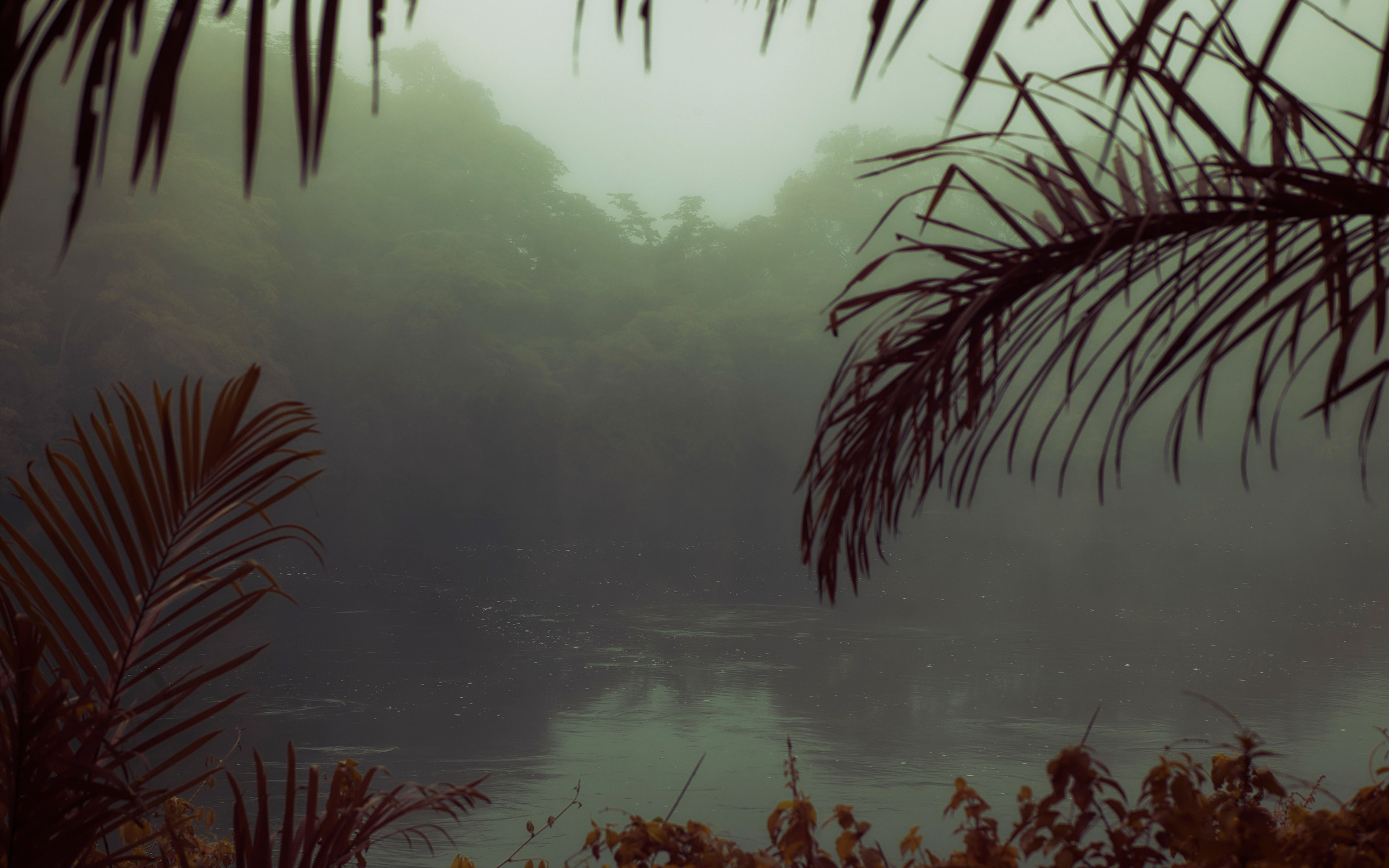 Primordial Earth, interpreta... | Léonard Pongo | Vision...