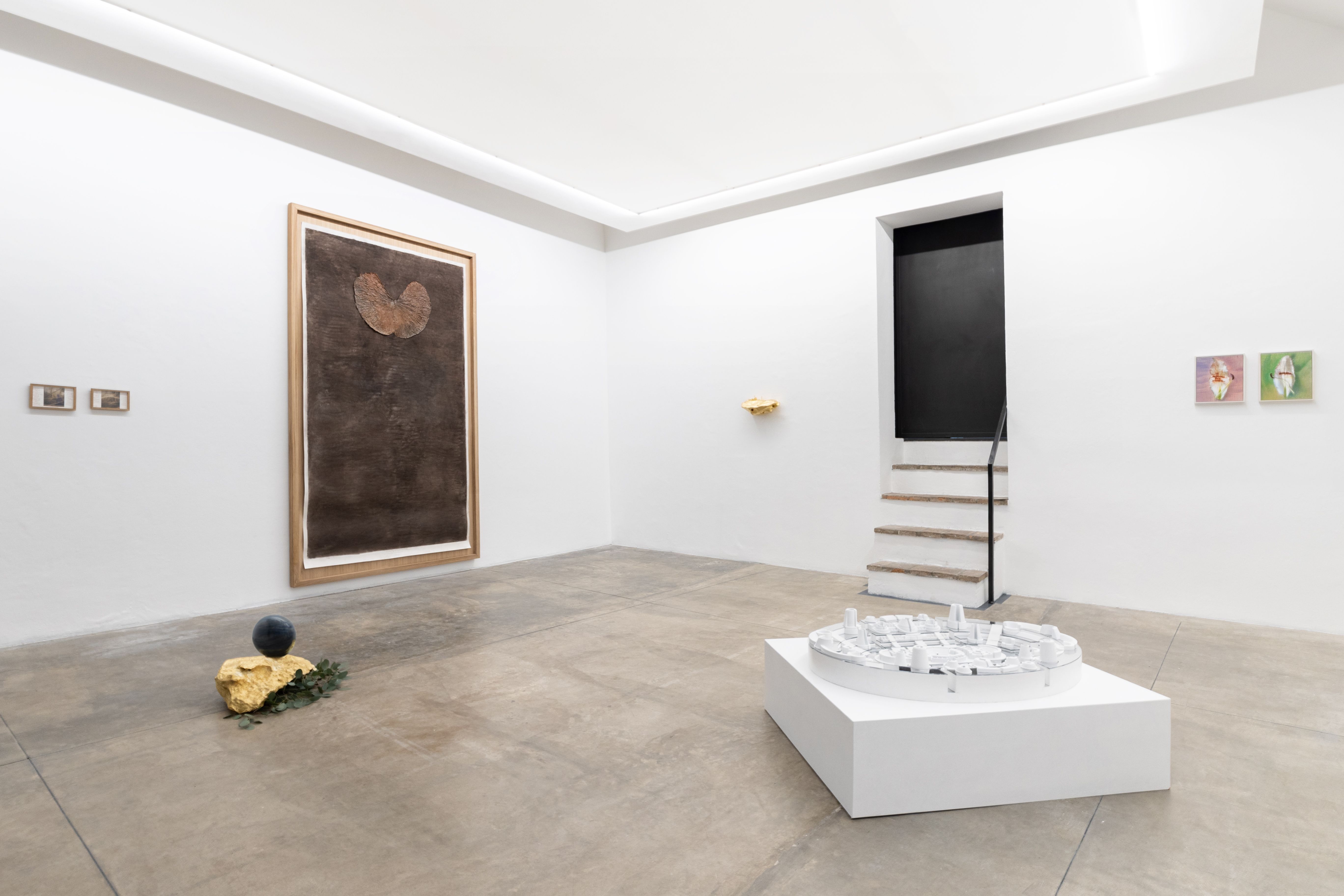 Art Rotterdam 2023 | Gregorio Botta, Daniela Comani, Mar...