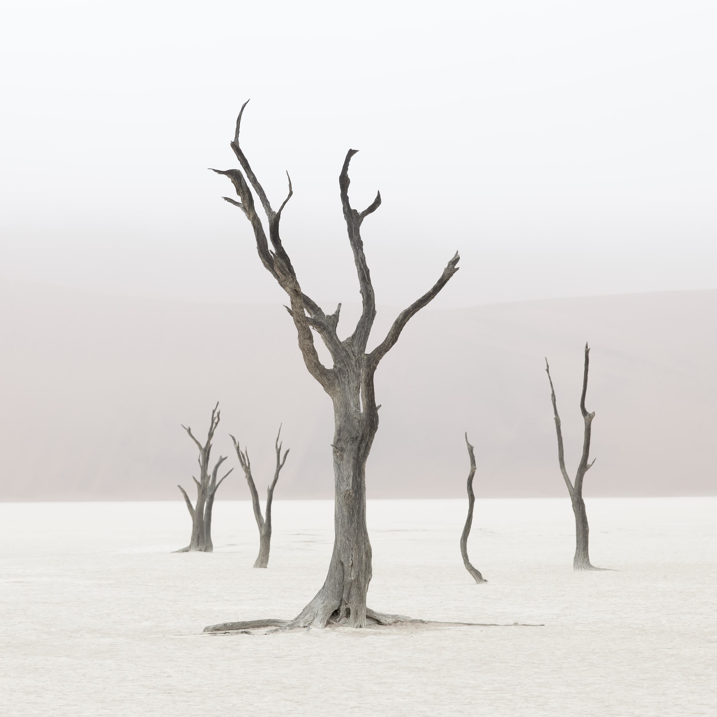 BENGUELA - BG S3 | Tom D. Jones | Gallery Viewer