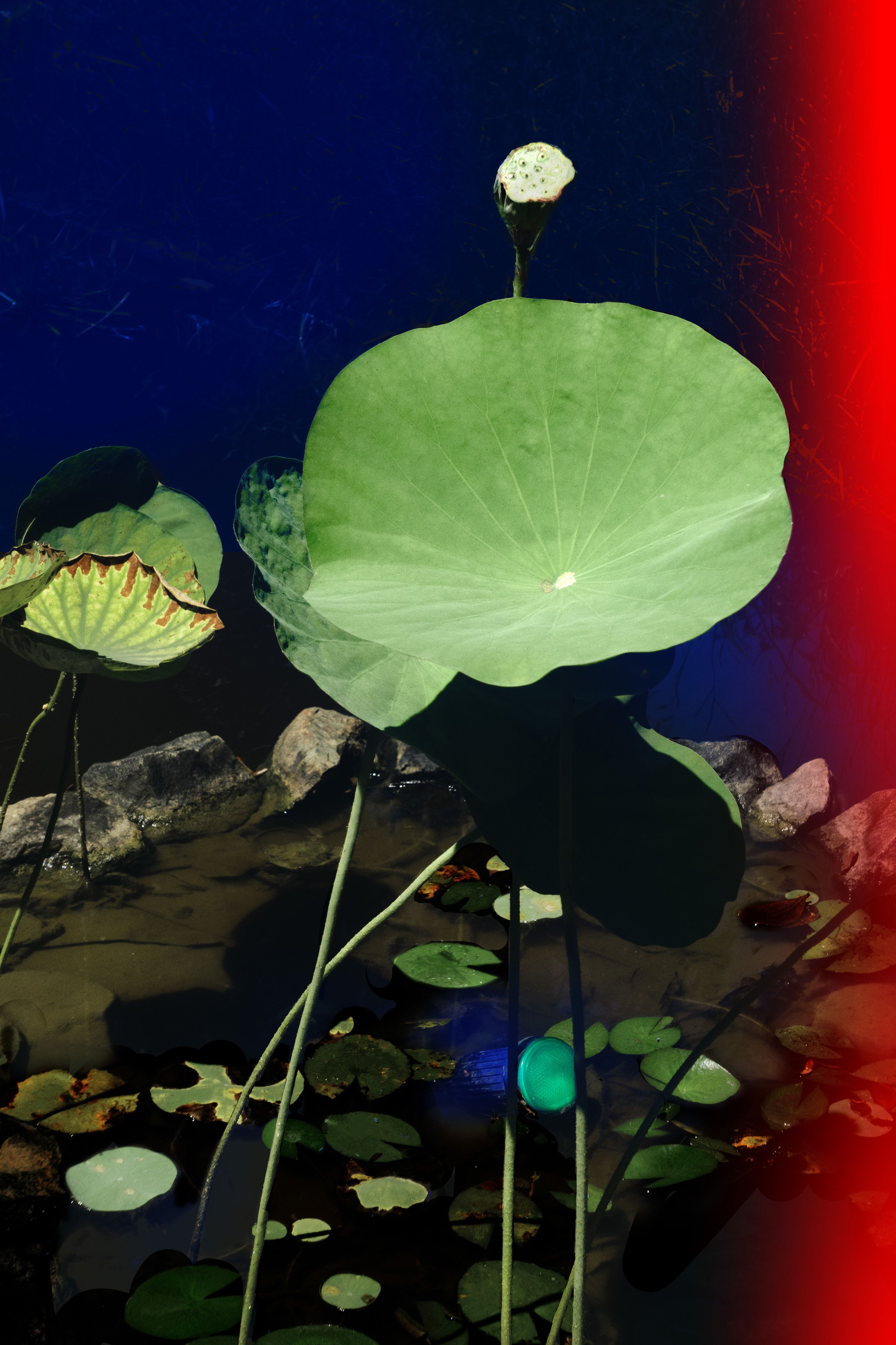 Elsa Leydier | Kunstenaar op Gallery Viewer | Gallery Vi...