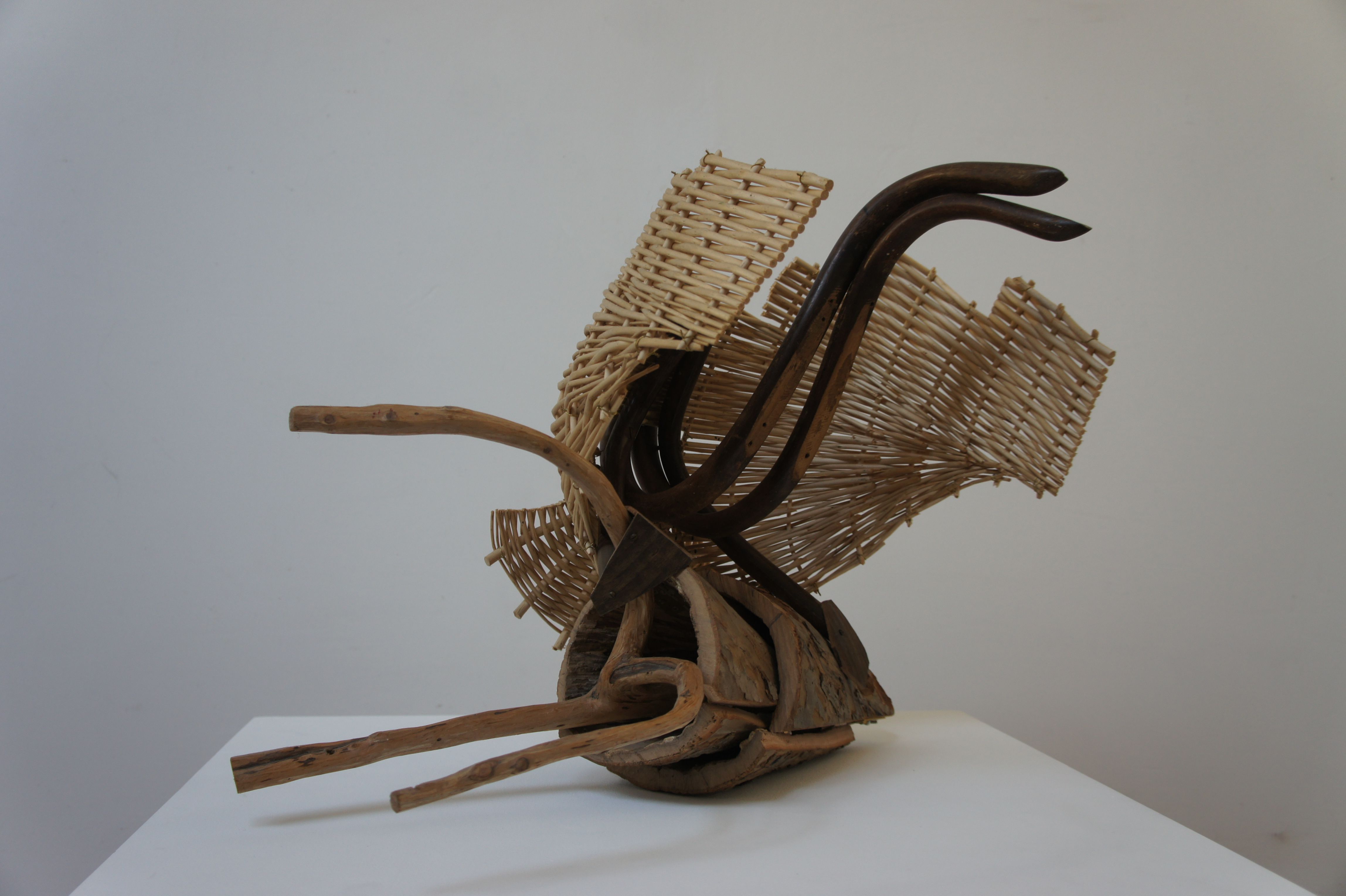 Spring Duck | Emo Verkerk | Gallery Viewer