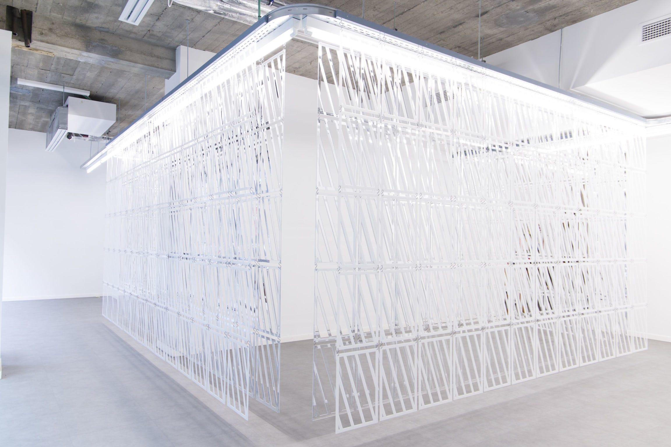 Perception and abstraction in the work of Carla Arocha