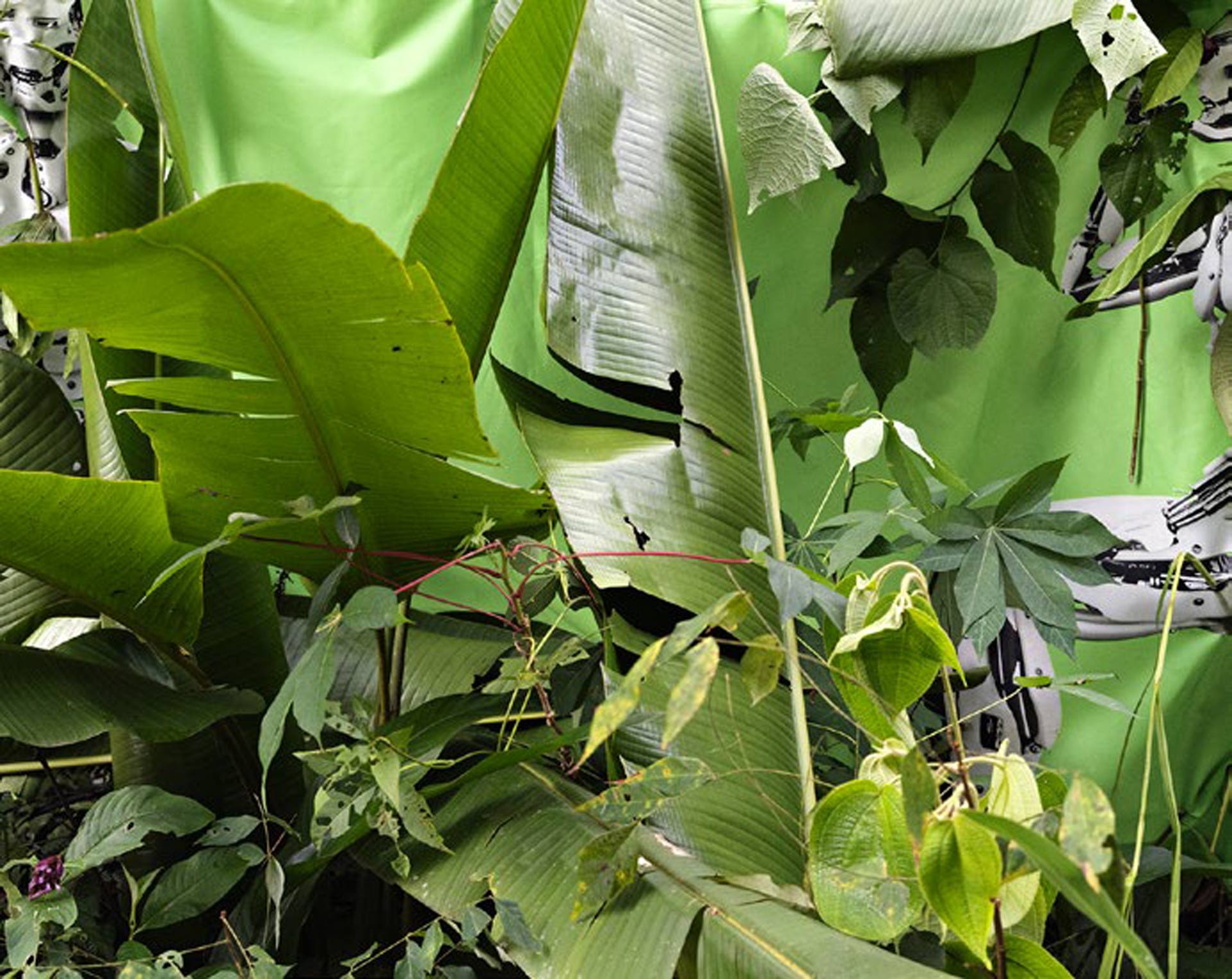 Anouk Kruithof | Kunstenaar op Gallery Viewer | Gallery ...