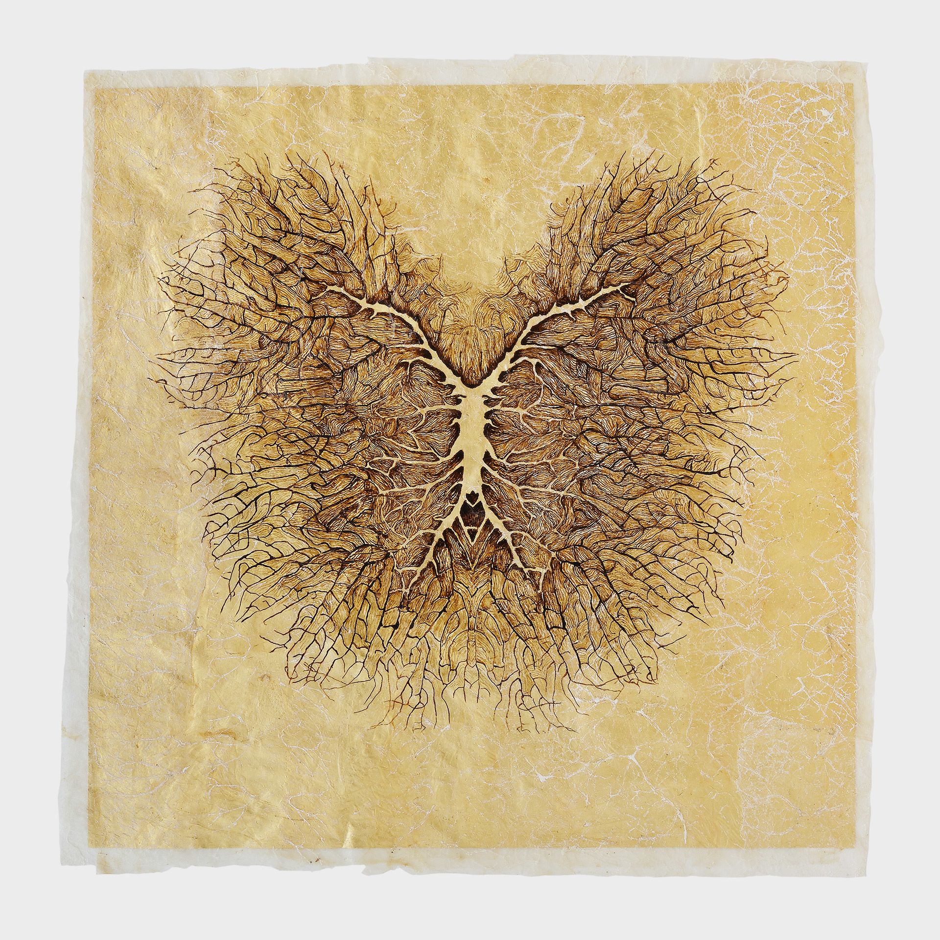 Reticulae Natura | Javier Pérez | Gallery Viewer