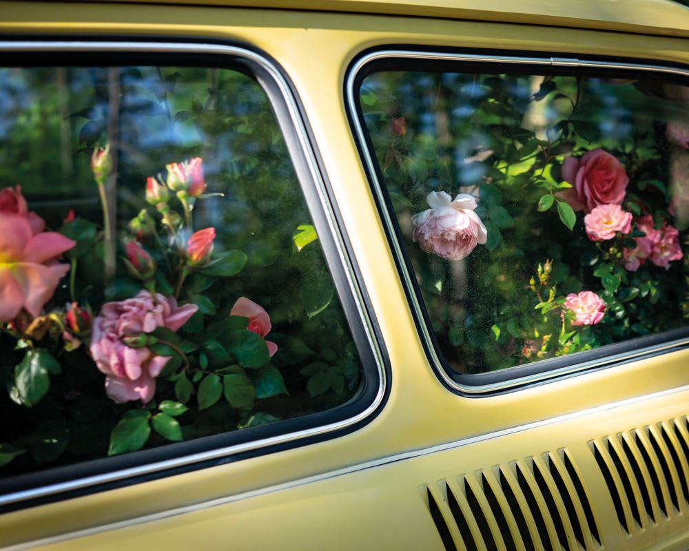 Cig Harvey: the magic of the everyday | Gallery Viewer