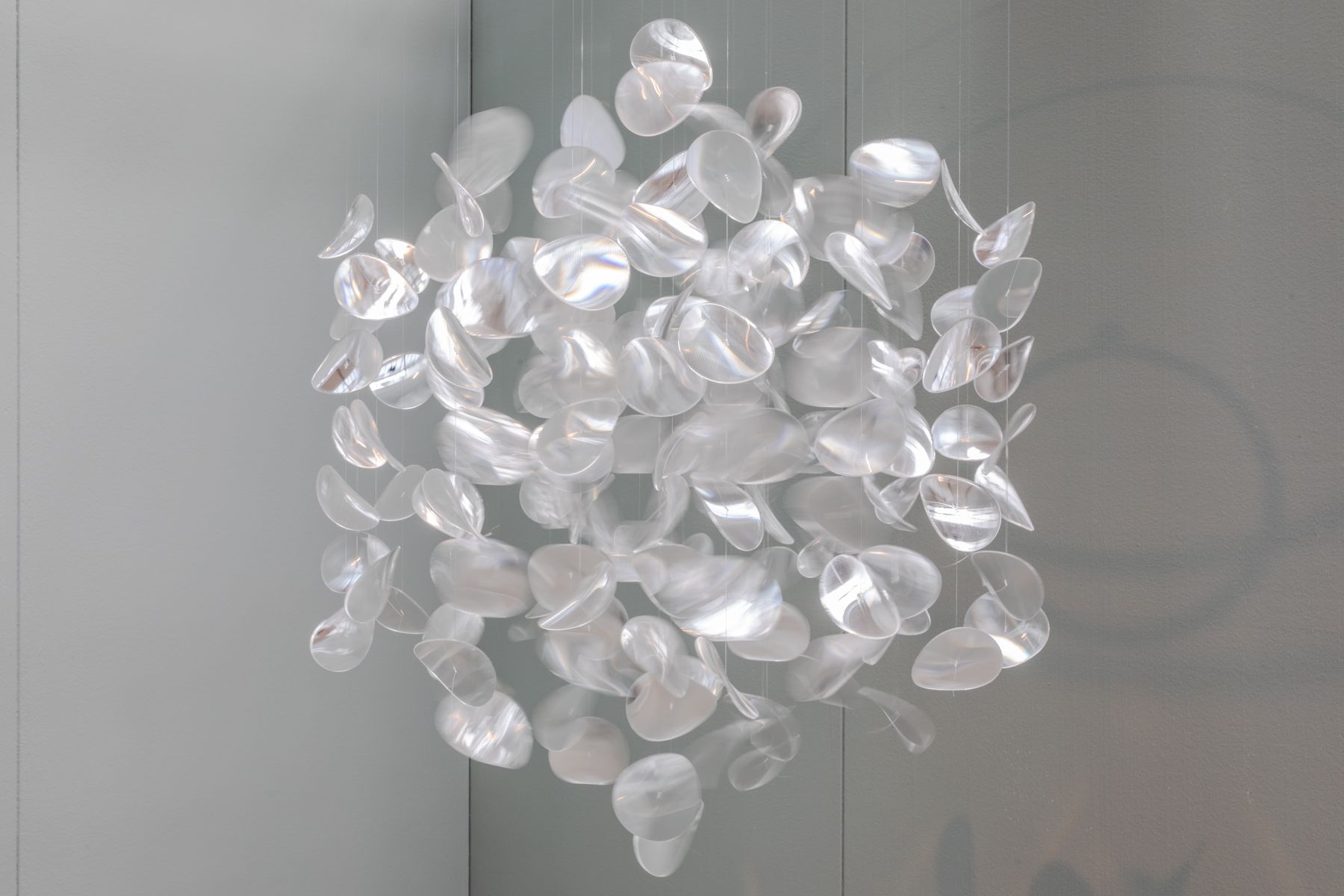 Liquid Crystal | Freerk Wilbers | Gallery Viewer