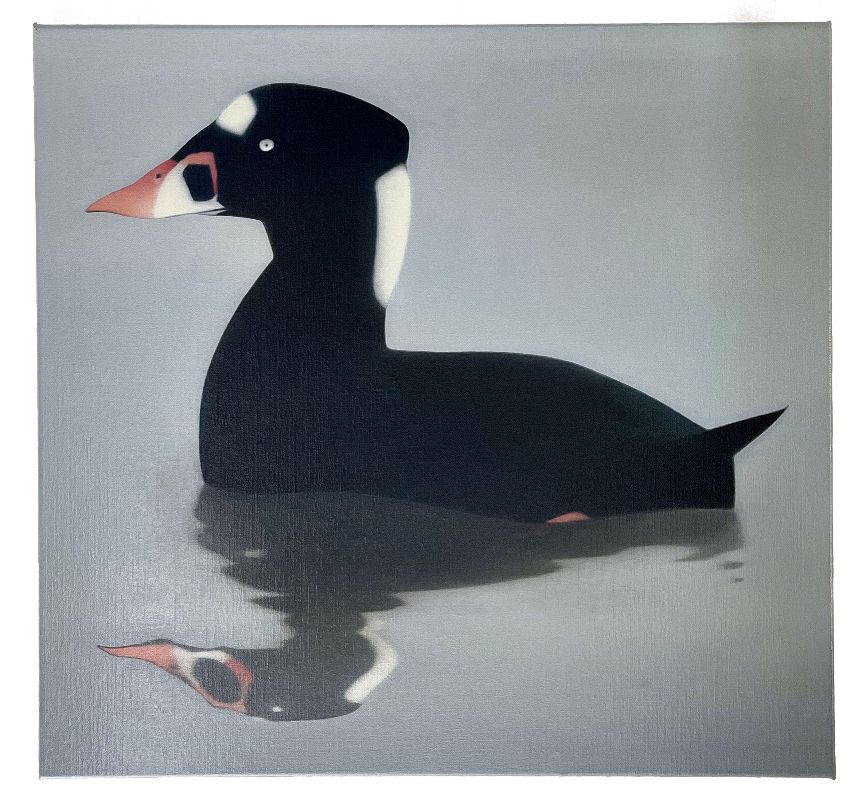 Surf Scooter | Peter Vos | Gallery Viewer