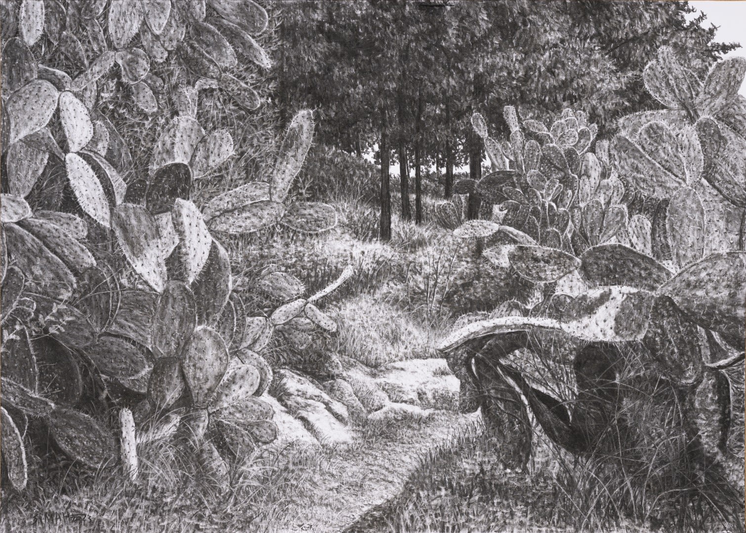 Mi'ar #1 | Samah Shihadi | Visionneuse de galerie