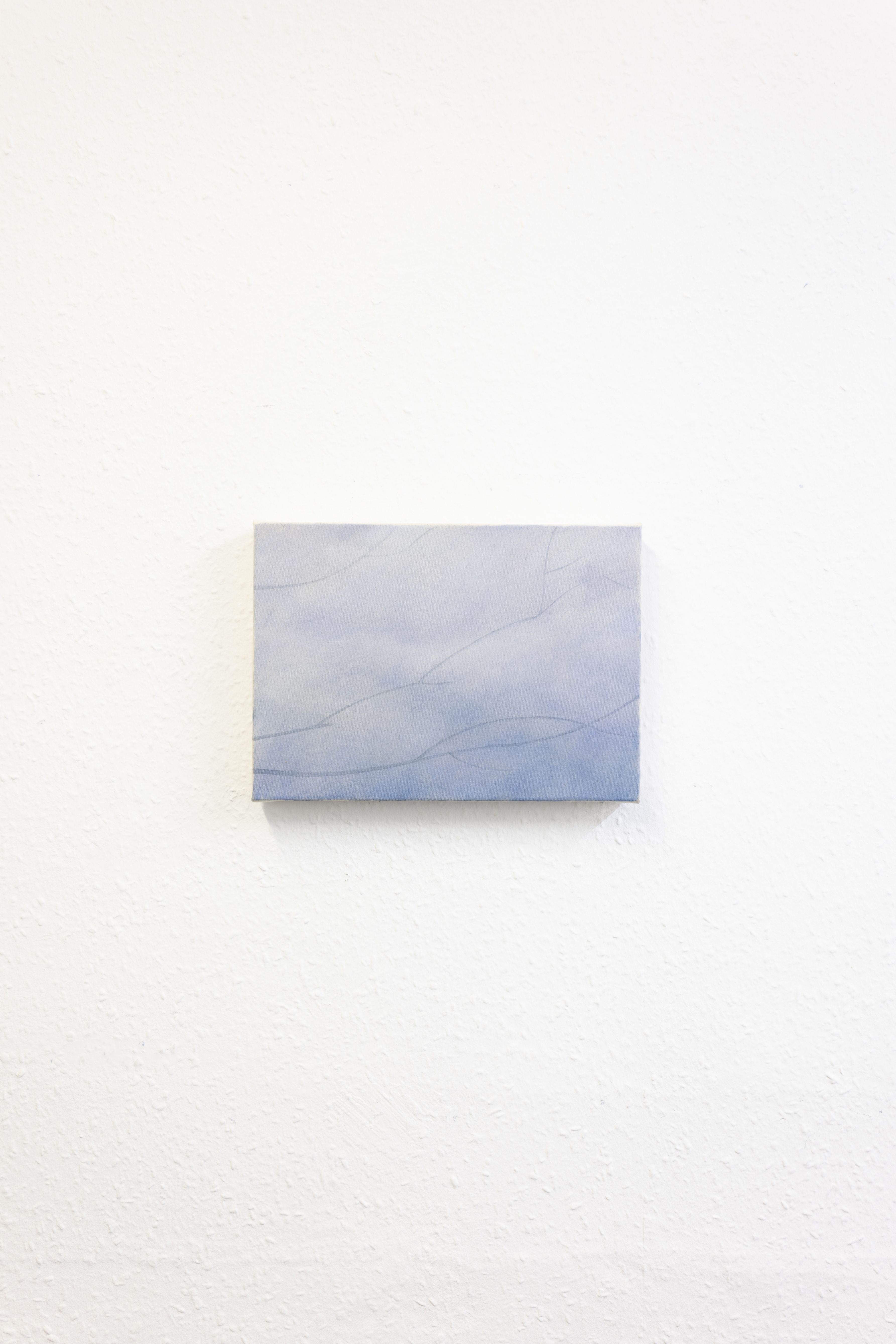 Cross Section | Callum Harvey | Gallery Viewer