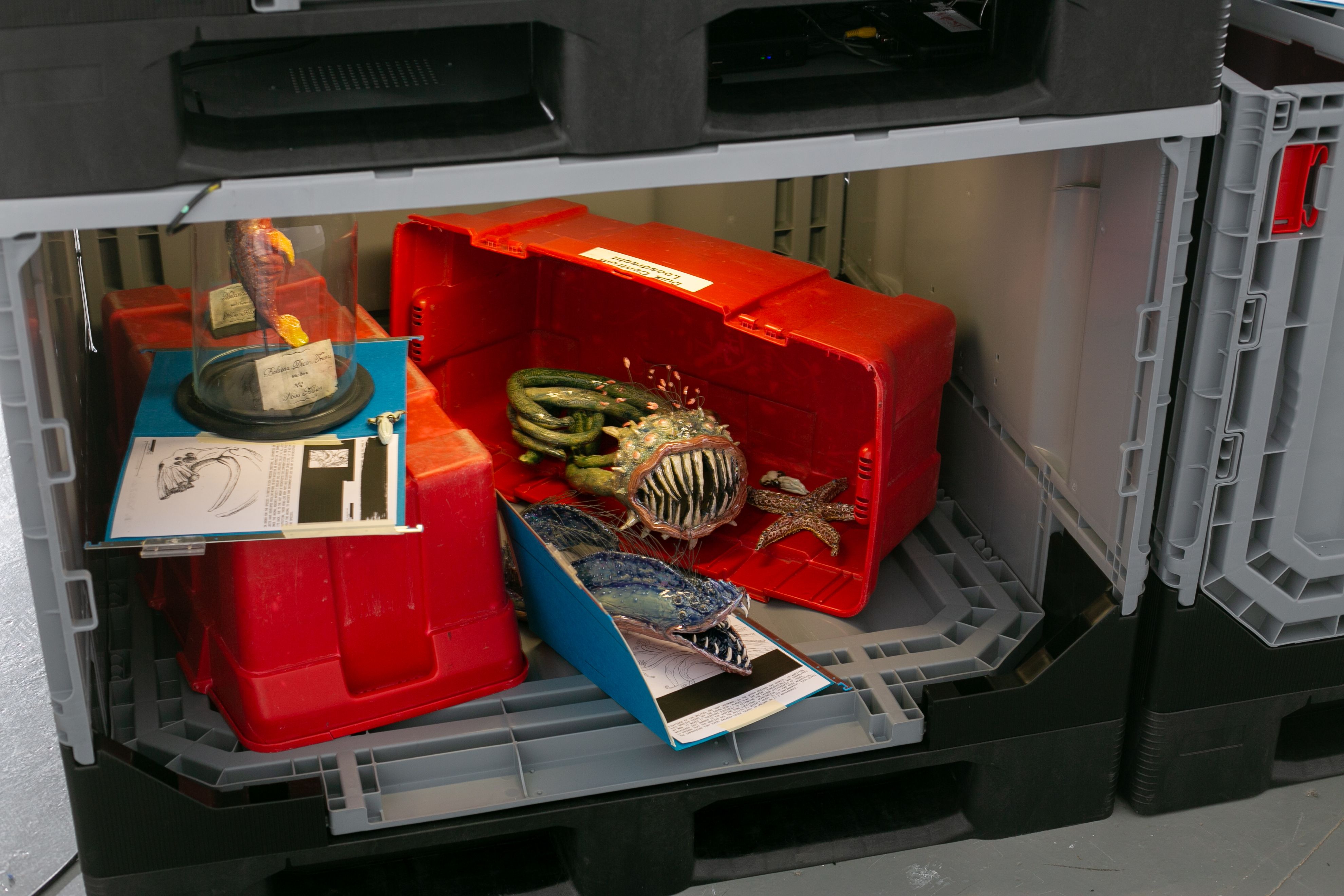 Aquatic Fauna Research Lab (... | Anemoon on Fire & Rik ...