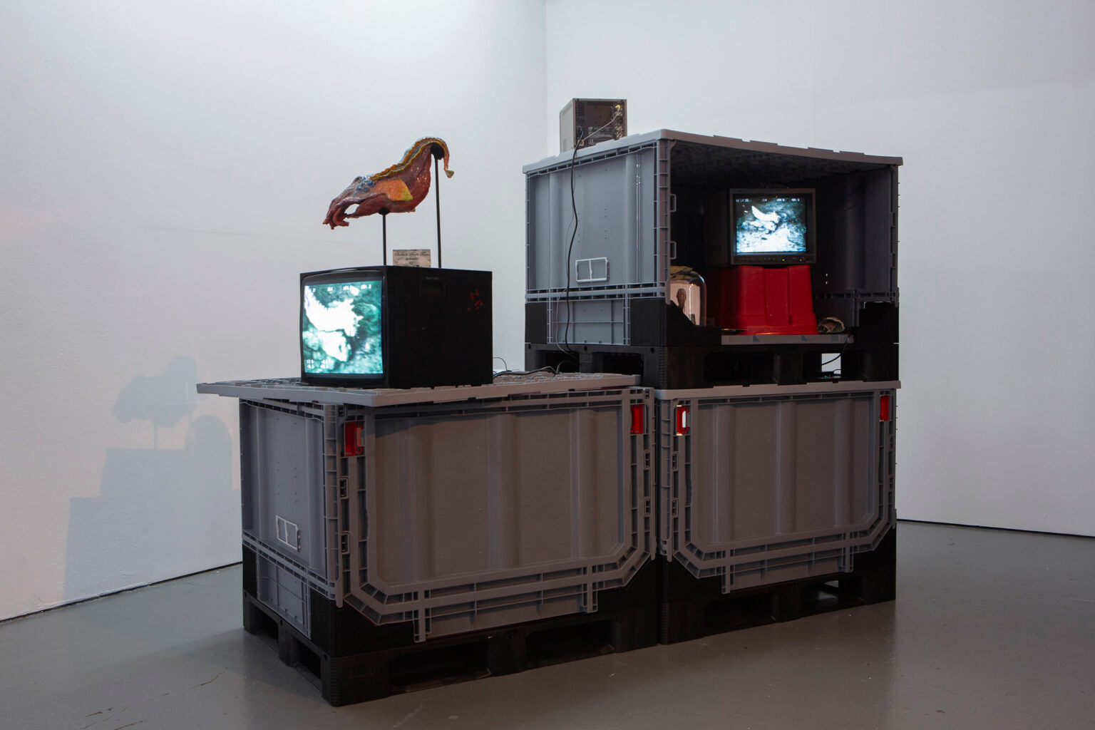 Anemoon Fokkinga and Rik Laging on their latest project ...