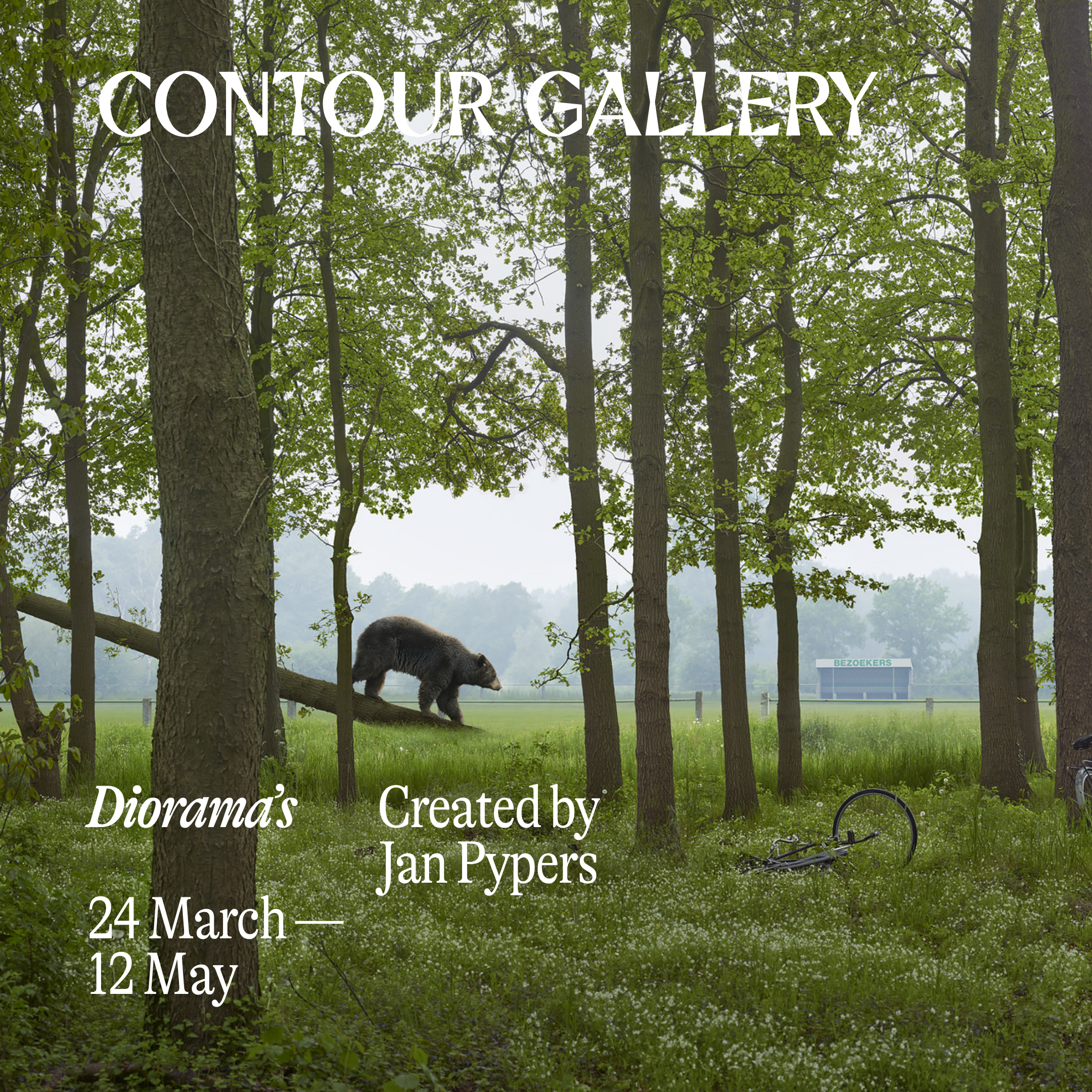 Diorama | Jan Pypers | Gallery Viewer