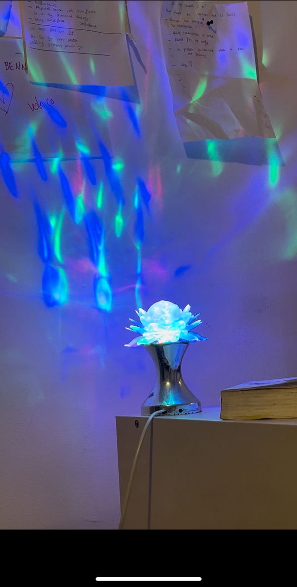 Blue Ray One | Frederique Jonker | Gallery Viewer