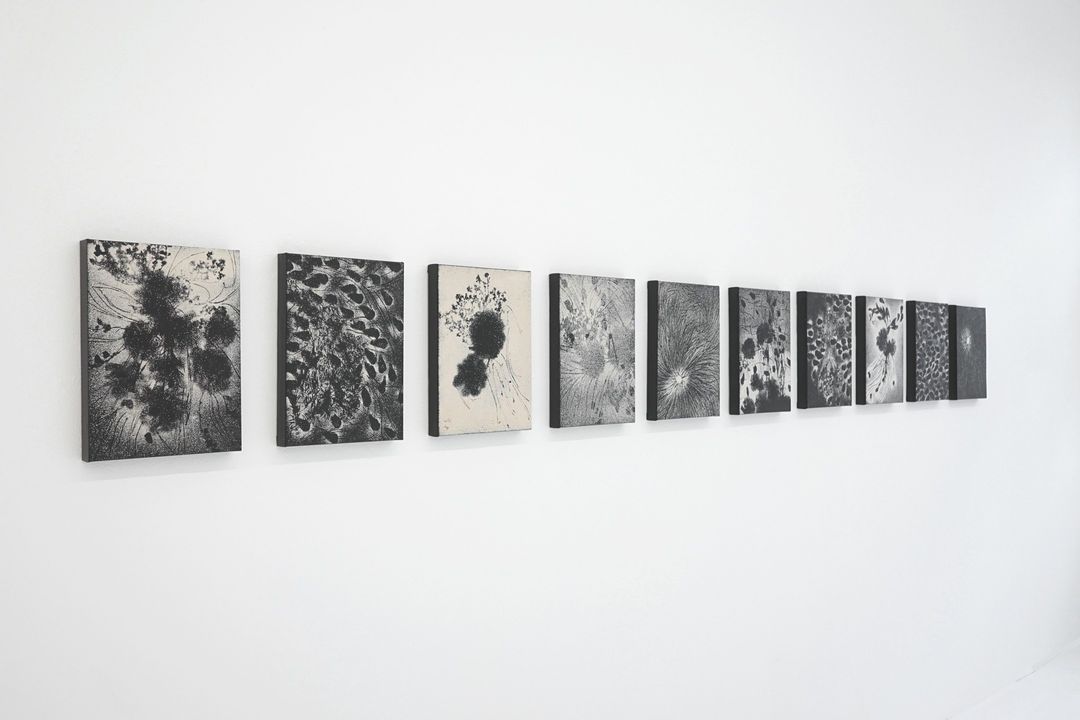 The price of a pearly white beach | Gallery Viewer