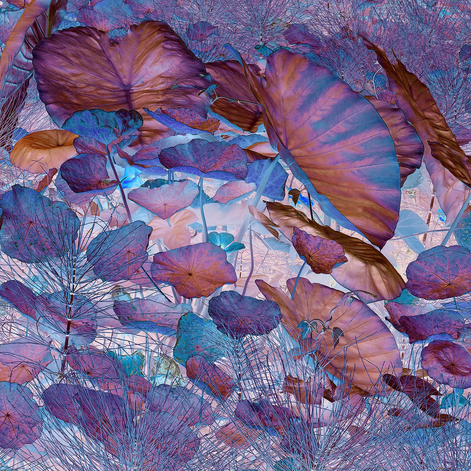 UNSEEN Amsterdam 2024 | Tamas Dezsö | Gallery Viewer