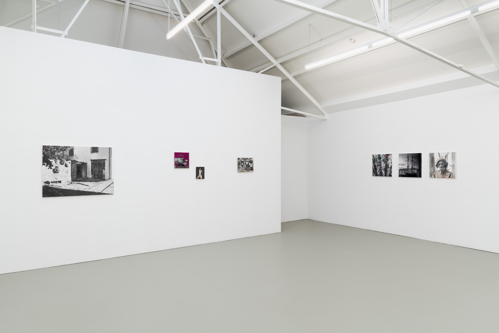 Copilot, Voice and Vision | Gallery Viewer