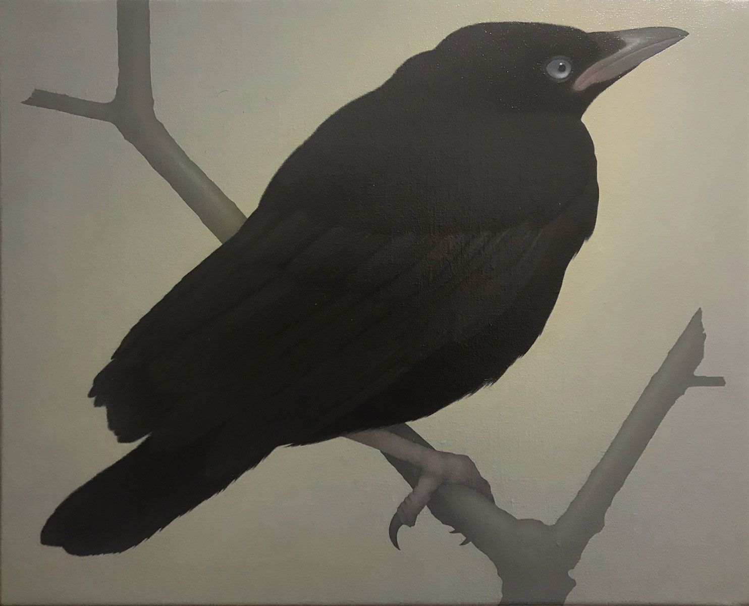 Crow | Peter Vos | Gallery Viewer