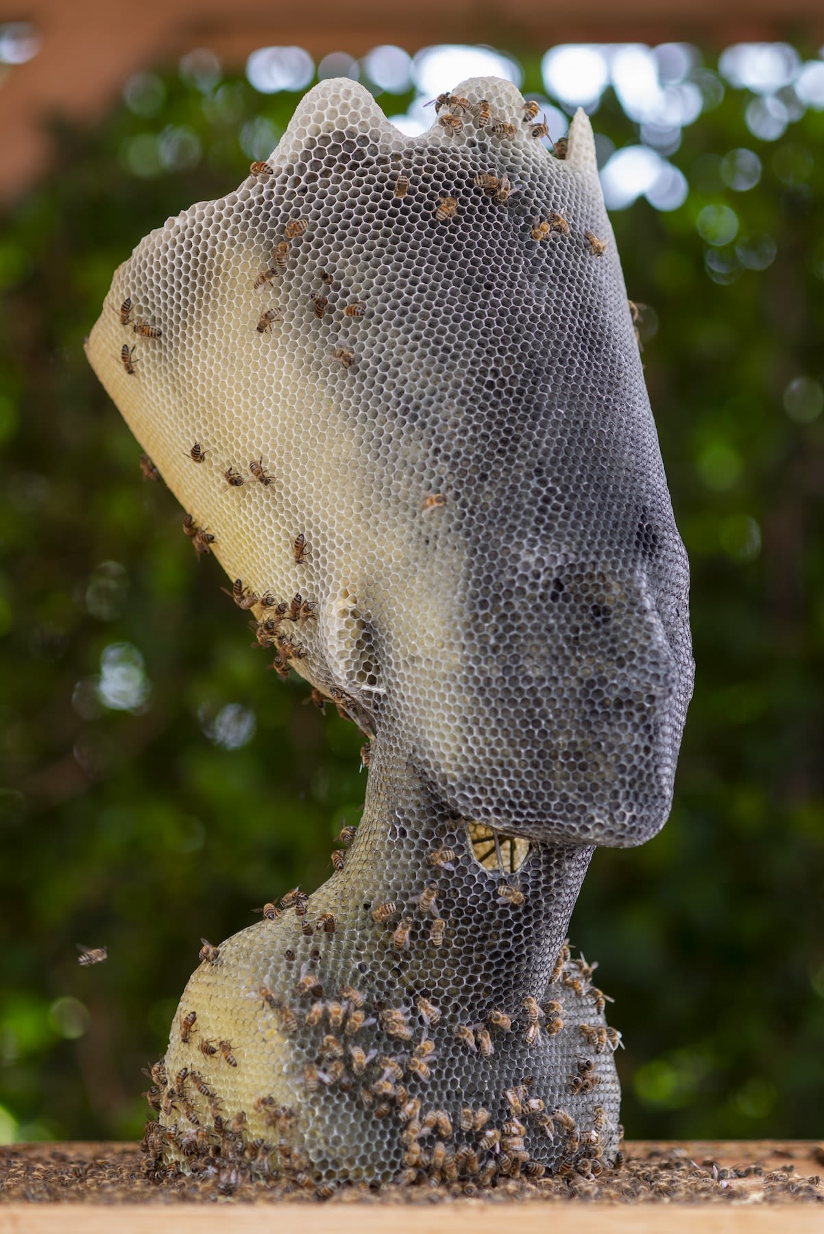 Eternity (Black) | Tomáš Libertíny | Gallery Viewer