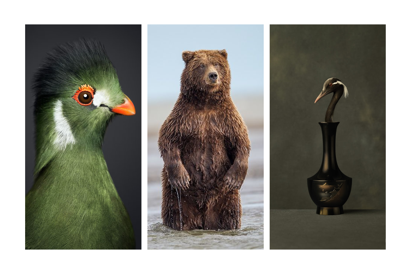 Animals and human beings in SmithDavidson Gallery: an ag...