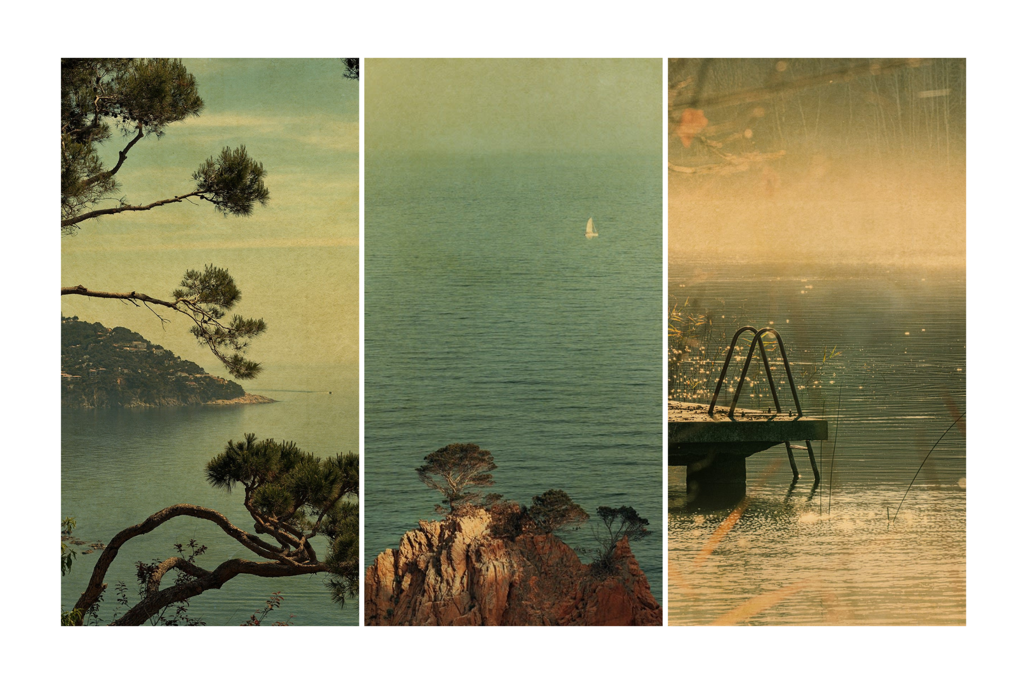 Albarrán Cabrera and the poetry of seeing | Gallery View...