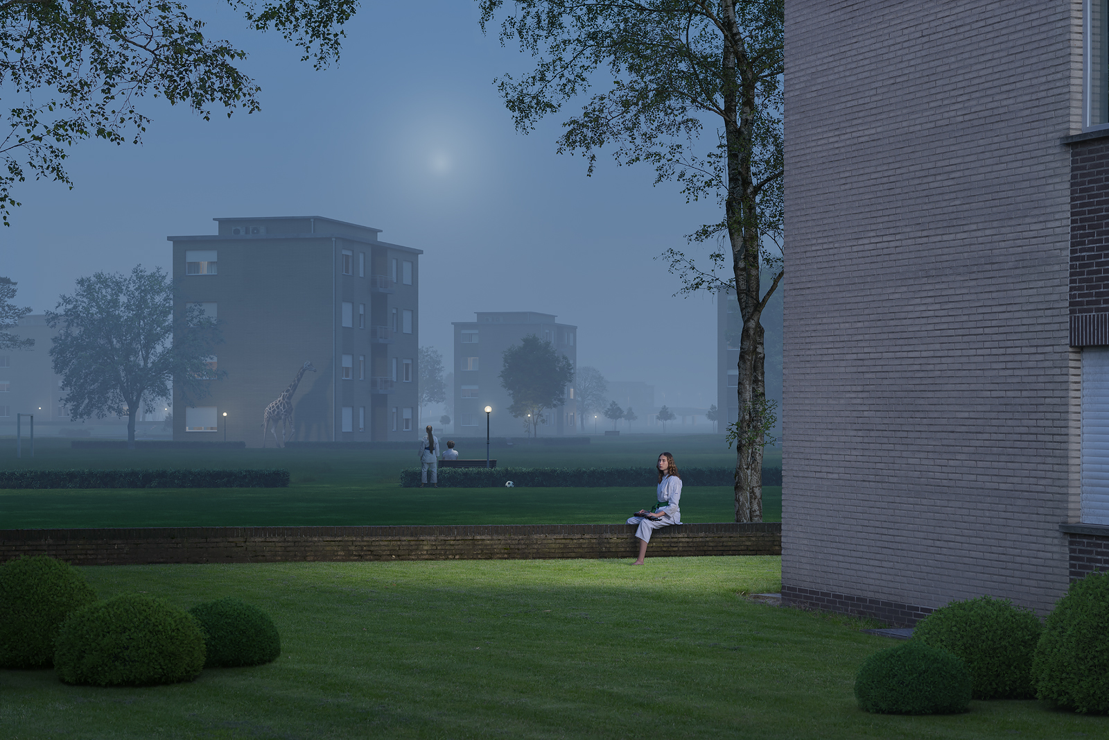 Jan Pypers: fragments of a dream | Gallery Viewer