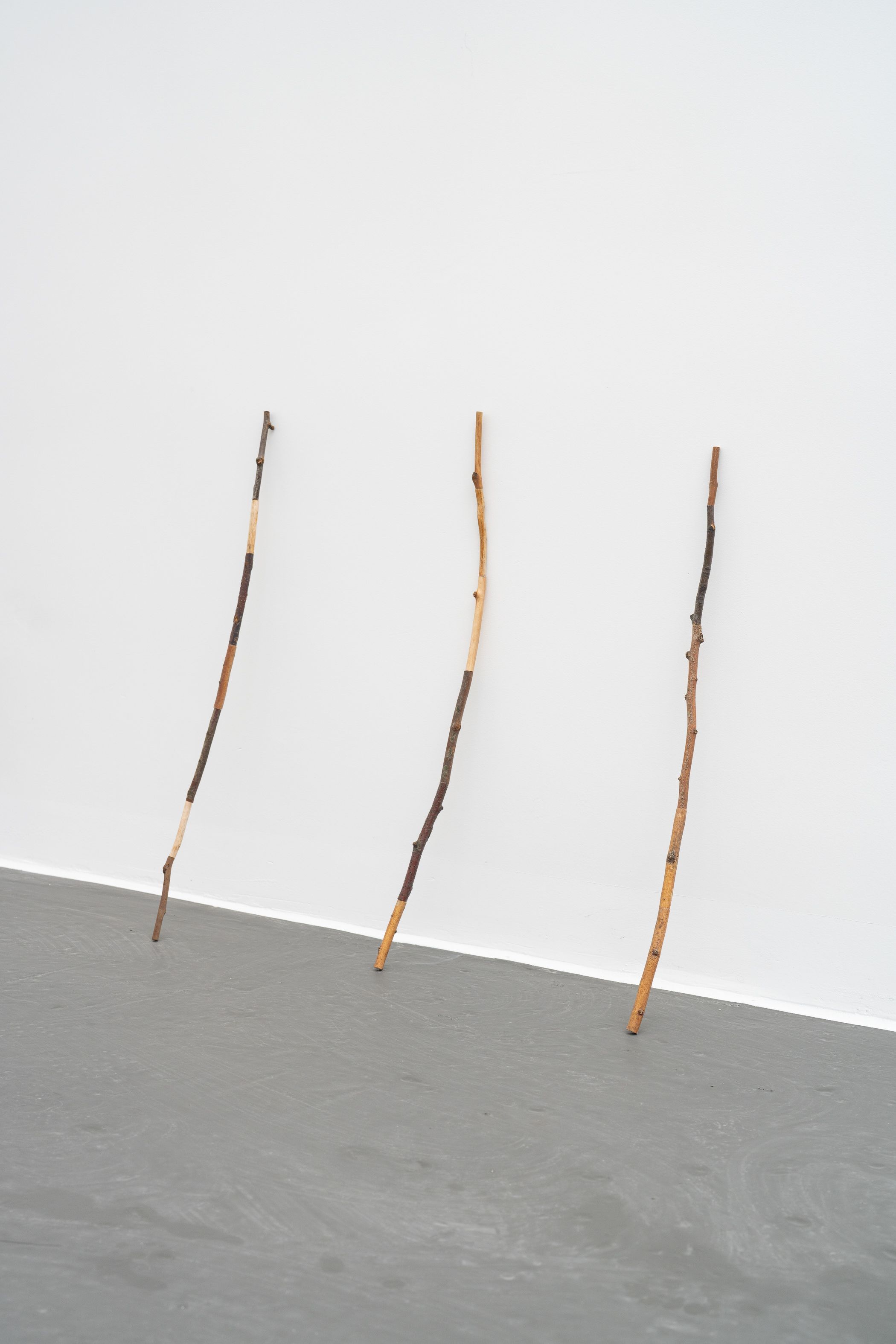 Brussels Tree Branches #1- #3 | Fabiola Burgos Labra | V...