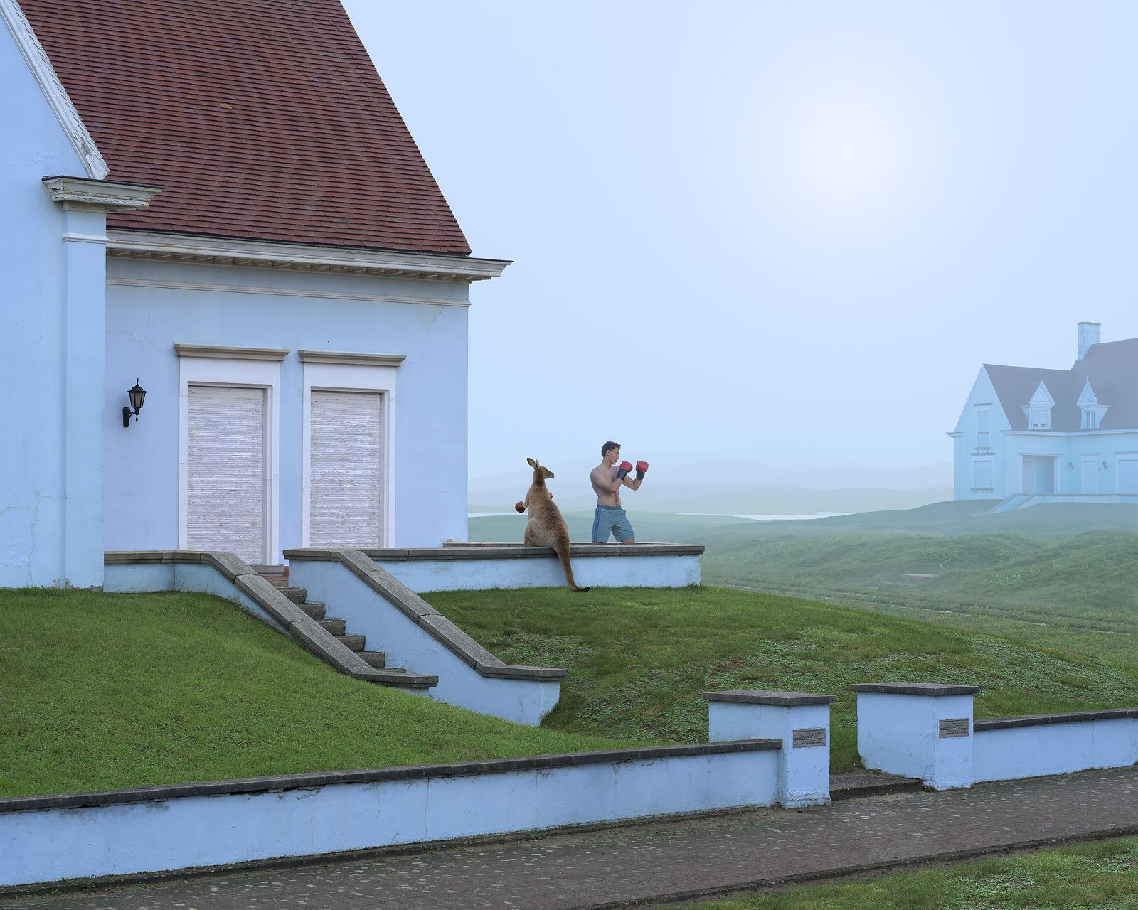 Diorama_Osphranter rufus | Jan Pypers | Gallery Viewer