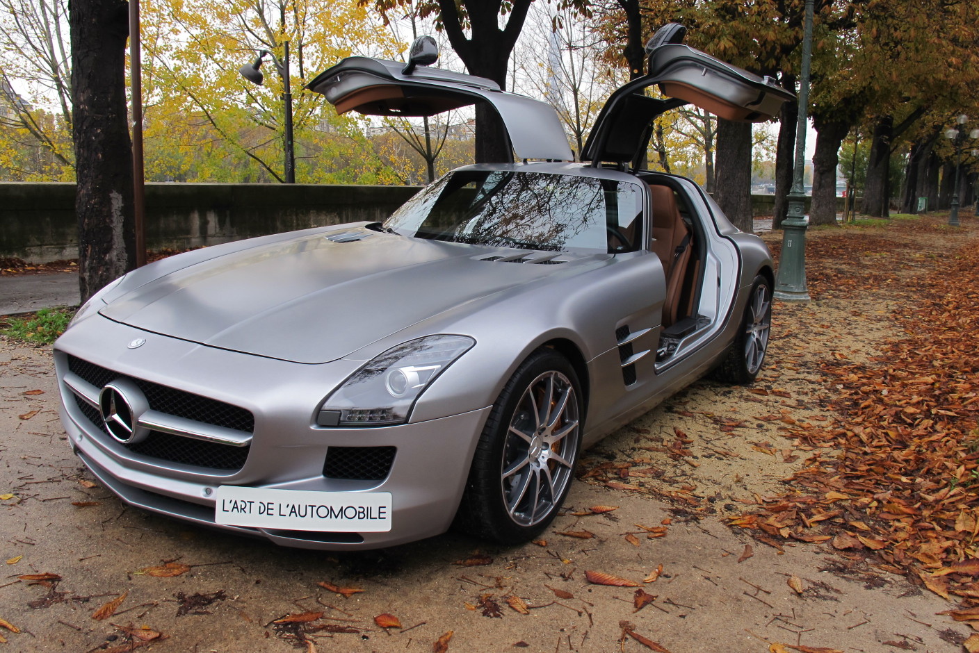 L'art de l'automobile | Mercedes SLS AMG Matt