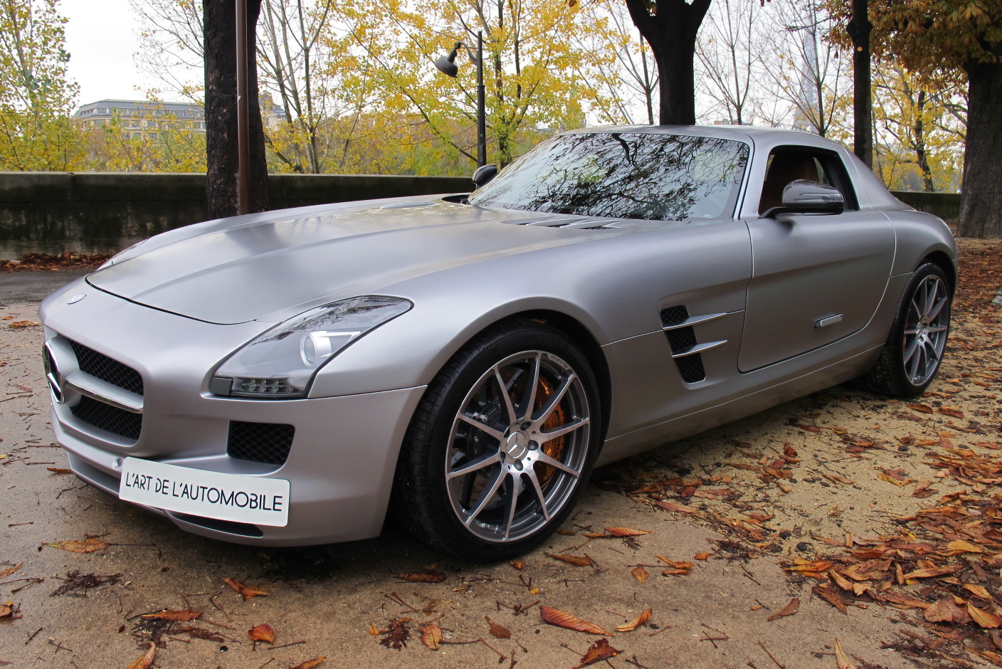 L'art de l'automobile | Mercedes SLS AMG Matt