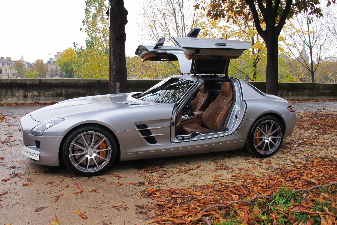 L'art de l'automobile | Mercedes SLS AMG Matt