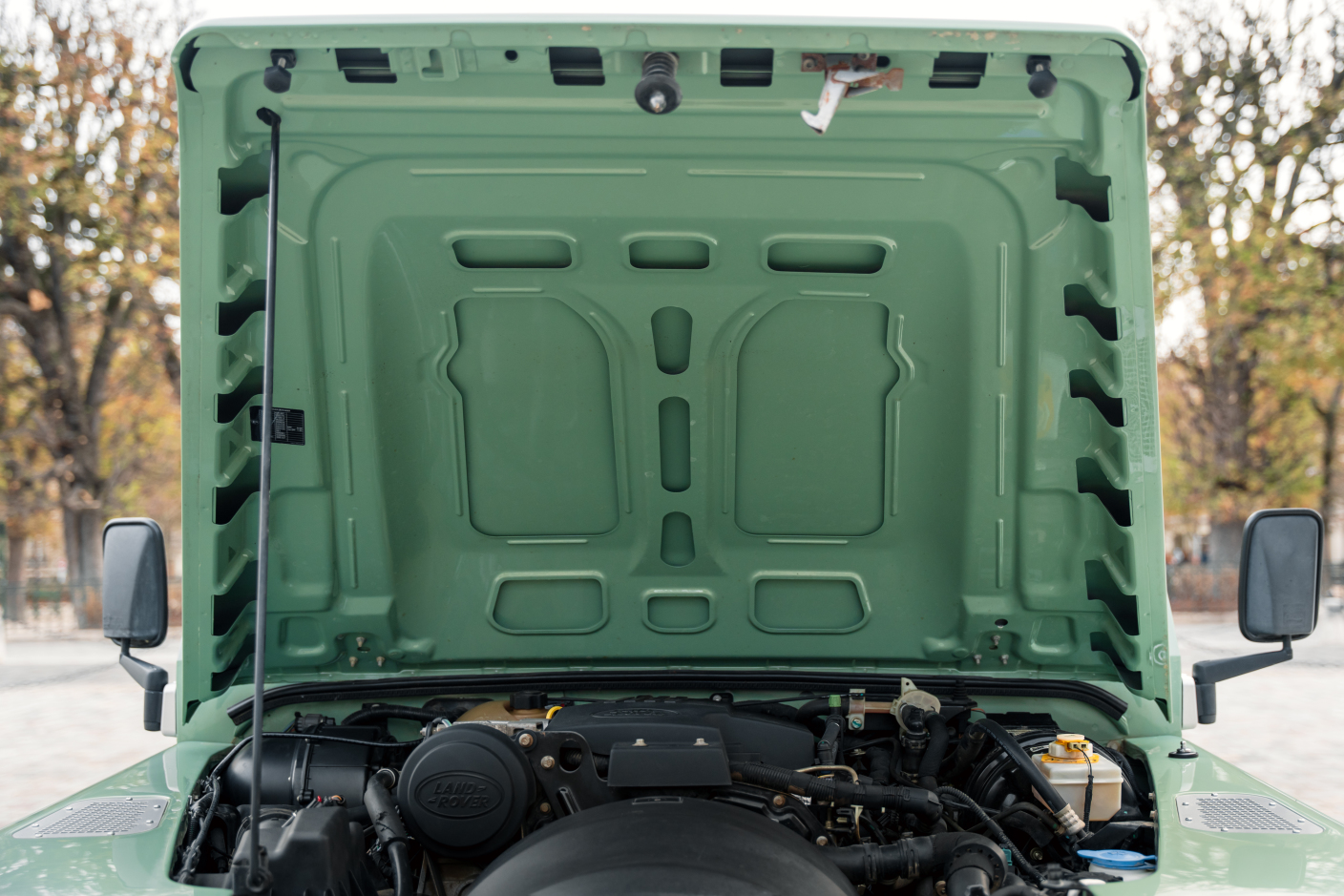 L'art de l'automobile | Land Rover Defender 110 TD4 *Grasmere Green*