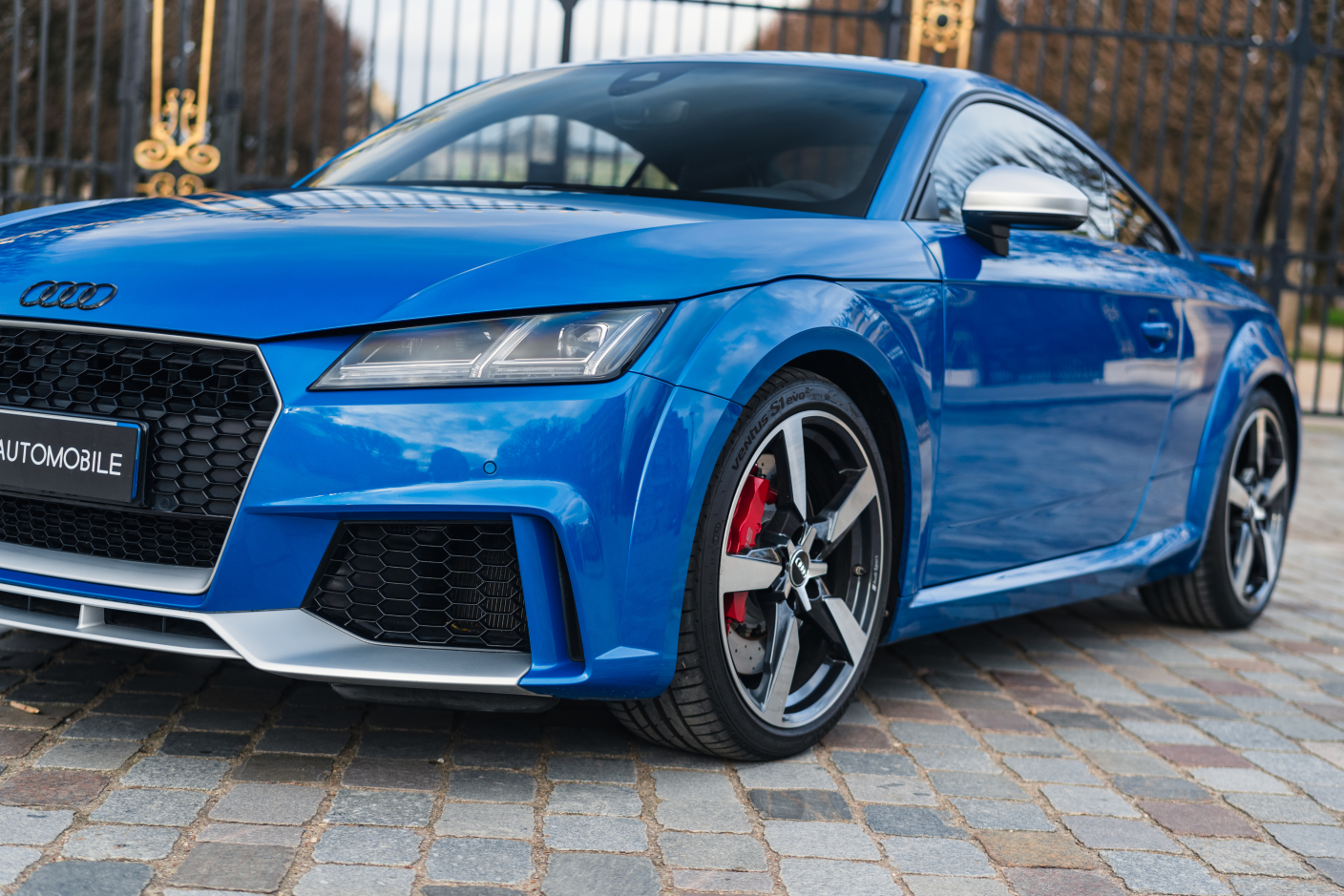 L'art de l'automobile | Audi TT RS *Ara Blue Crystal*