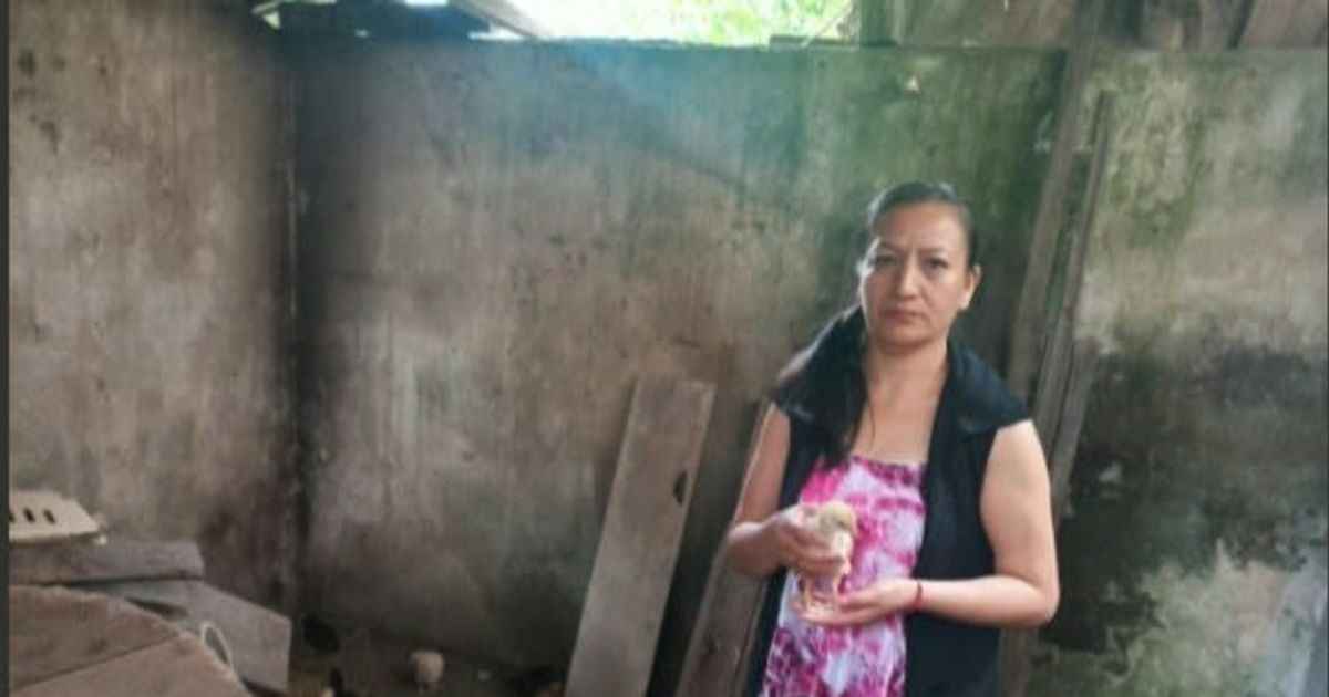 Lucia Imelda | Microfinance from CARE International UK