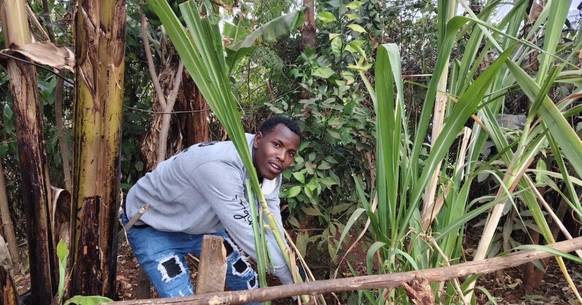 Muthaura | Microfinance from CARE International UK