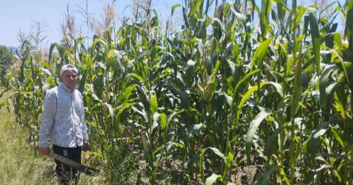 Robin Andy | Microfinance from CARE International UK