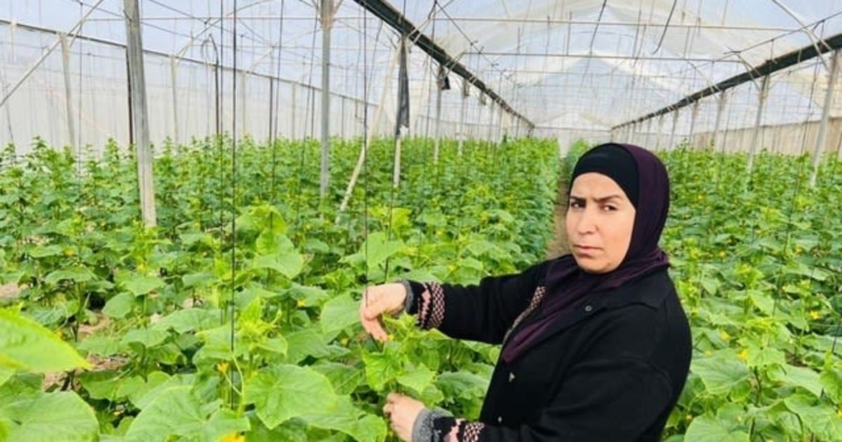 Jamila | Microfinance from CARE International UK