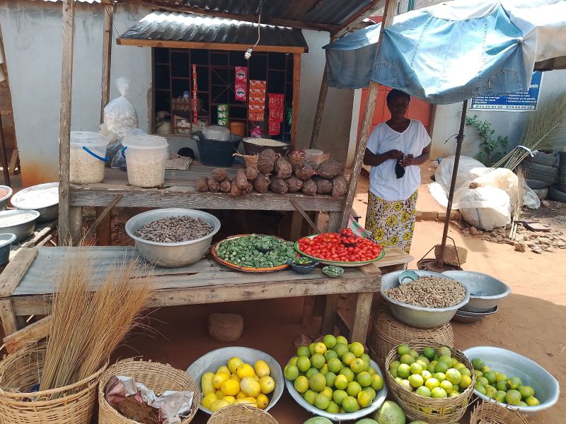 CAF SENTINEL | Microfinance from CARE International UK