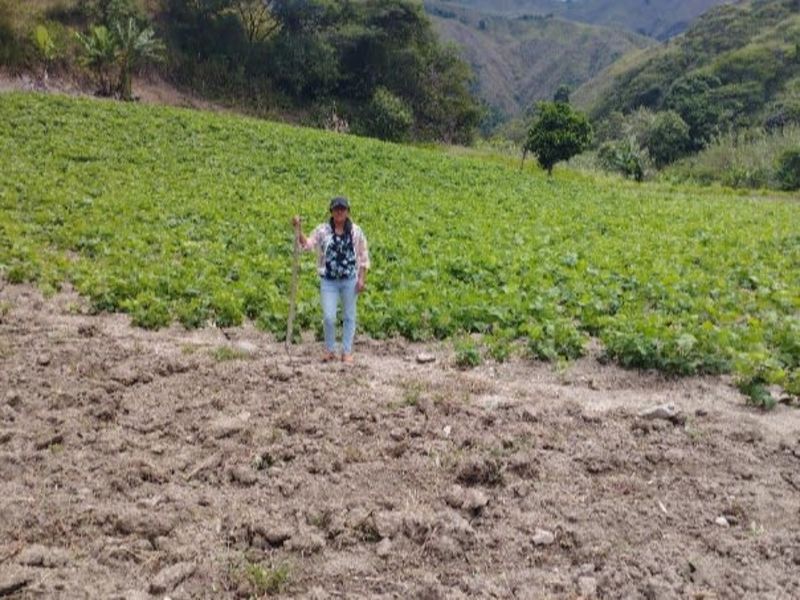 Maria Aurora | Microfinance from CARE International UK