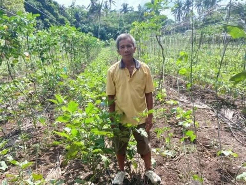 Verdida | Microfinance from CARE International UK