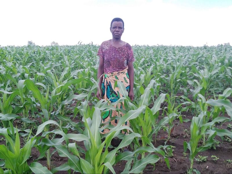 Maria's farming enterprise has seen improvements since her most recent ...