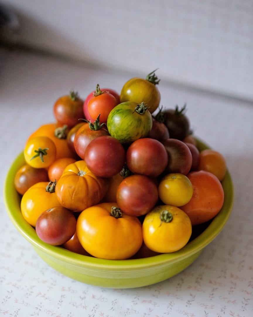 Theia Food & Wine | Visit the County