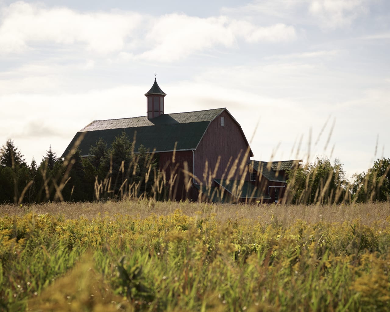 The Eddie Hotel and Farm | Visit the County